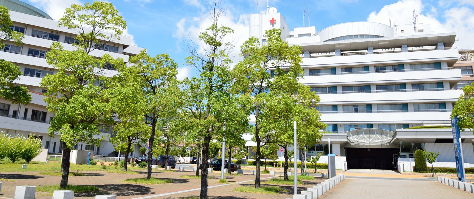 The Patient's & Visitor's Guide - Central Hospital Limited
